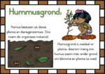 Verskillende soorte grond – Karoo Kiddies